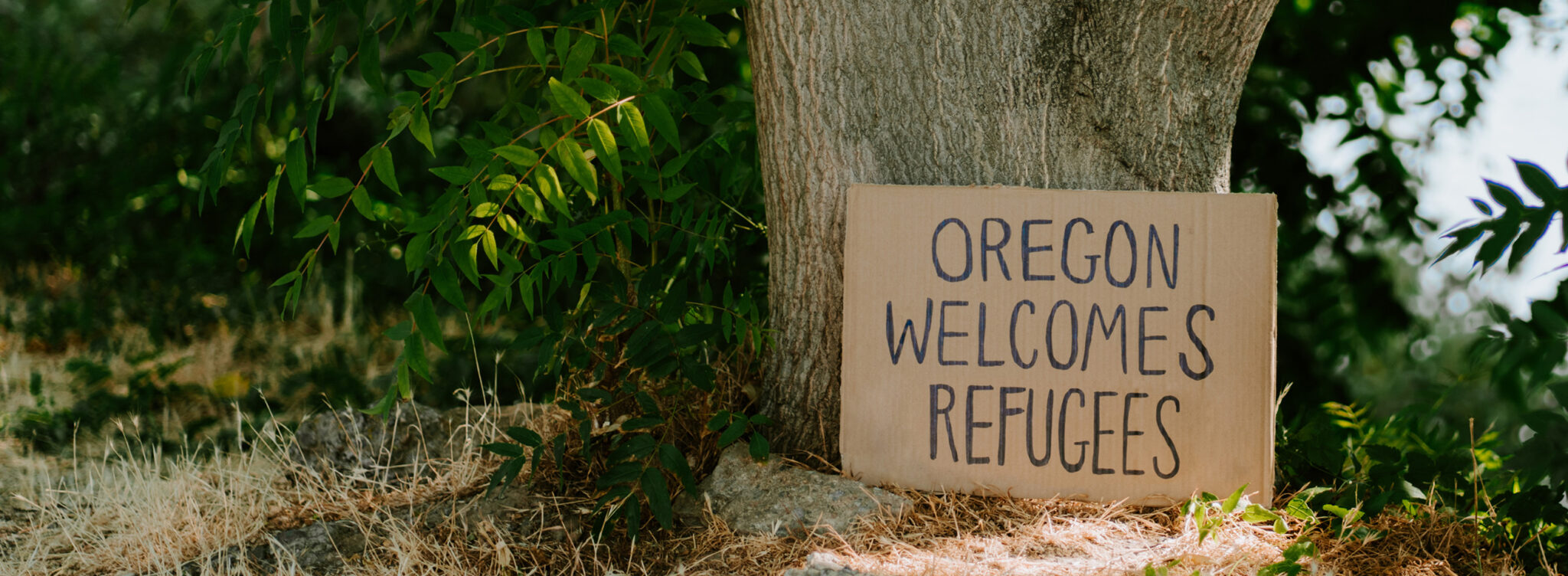 SOAR Immigration Legal Services - SOAR Immigration Legal Services SOAR Immigration Legal Services - SOAR Immigration Legal Services